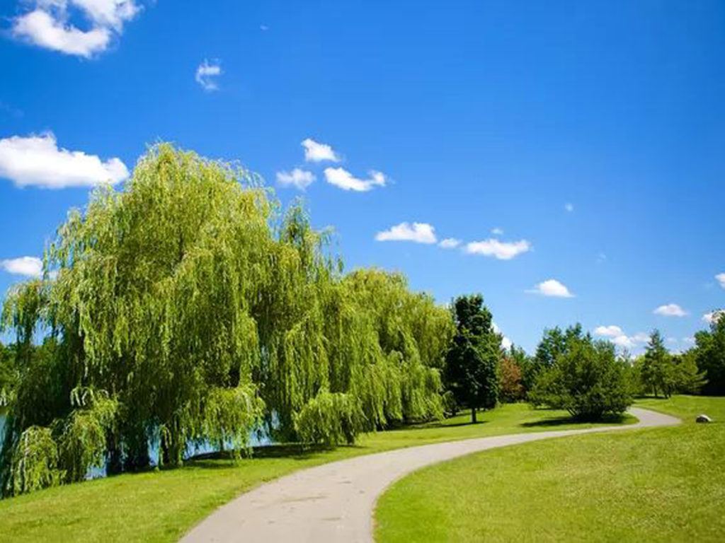 Delaware Park Comprehensive Development Plan | HHL Architects